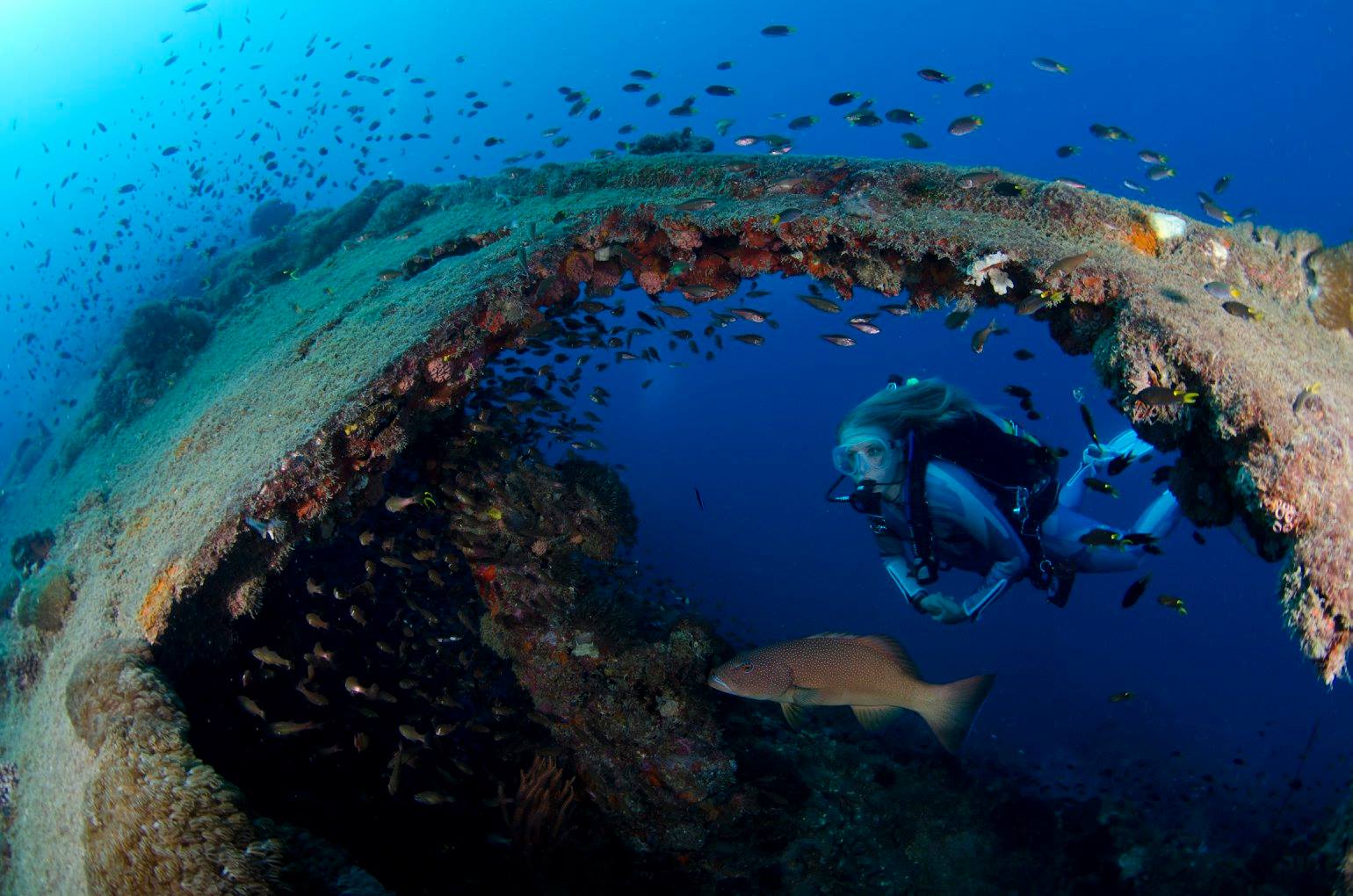 Durham’s Purple Radio Prodigy Down Under - 89.7 Eastside FM - Durham’s ...